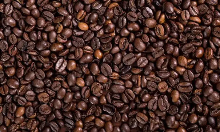 Santa Cafeína - Café Orgánico Premium